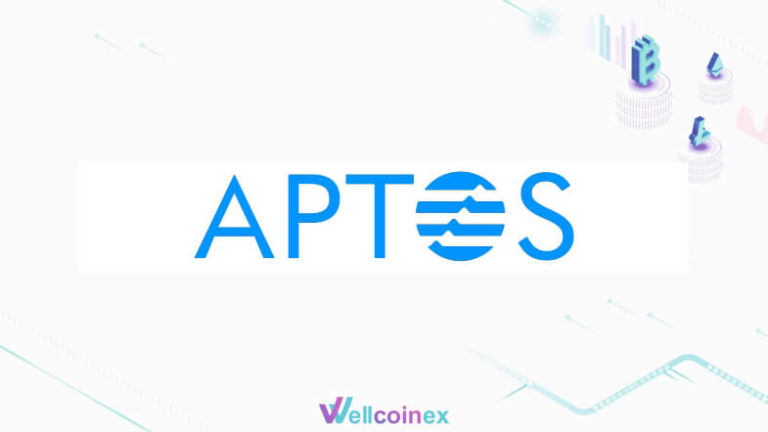 How to get Aptos (APT) - Wellcoinex
