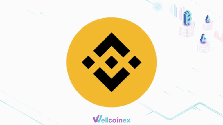 How to buy Binance Coin and to convert BNB to cash - Wellcoinex