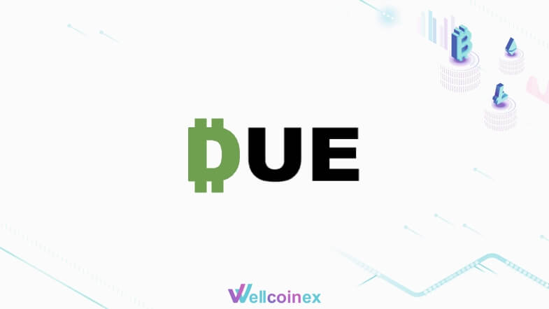 What is Due Payments (Due) - Wellcoinex