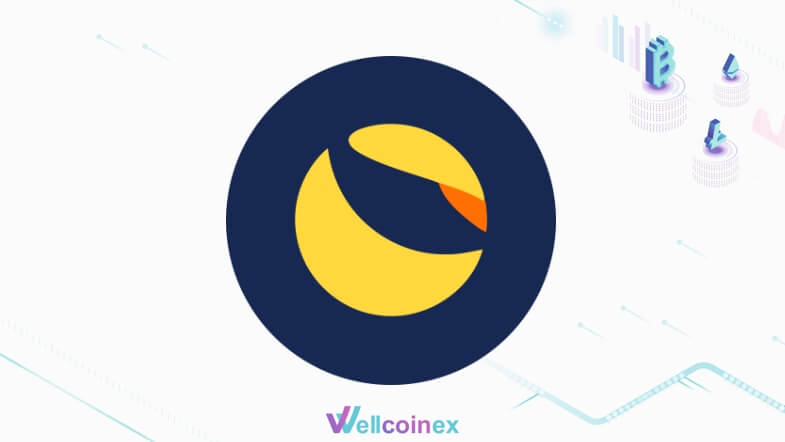 How to get Terra Classic (LUNC) - Wellcoinex