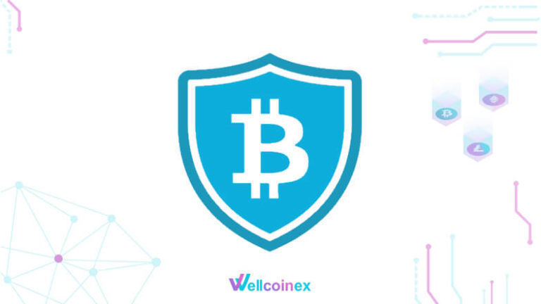 Types of BitGo wallets - Wellcoinex