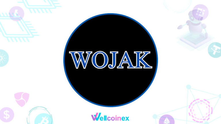 What is the WOJAK Token? - Wellcoinex