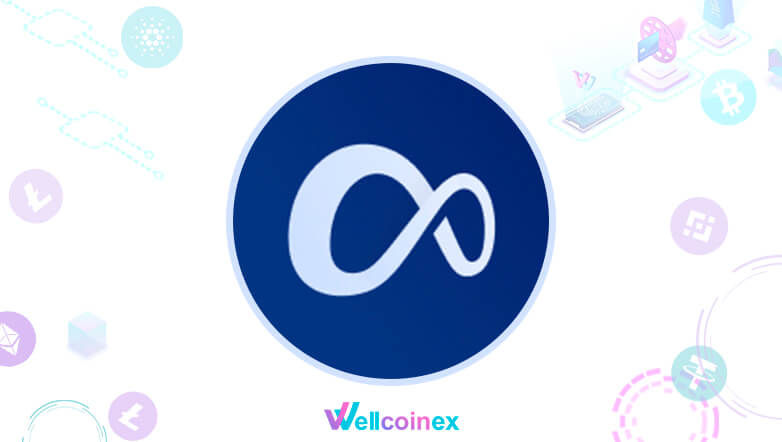 Meta Pay: What Is It and Should You Be Using It? - Wellcoinex